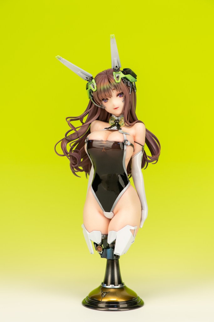 Infomation – Cerberus Project